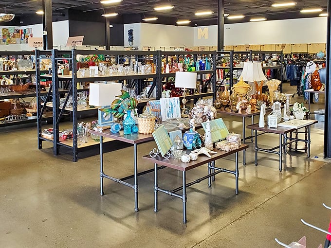 Carefully curated chaos—where vintage treasures and modern castoffs create unexpected still lifes that change with every visit.