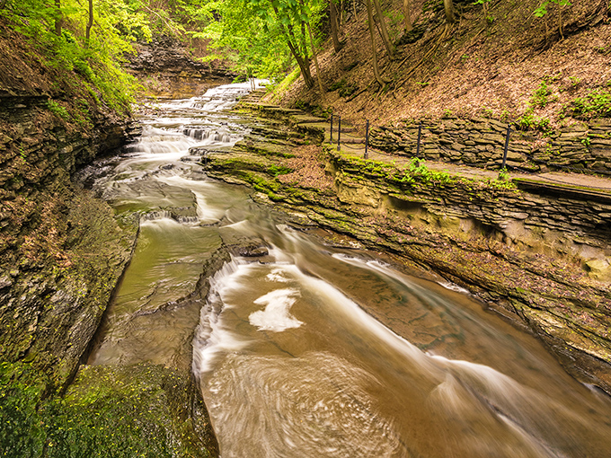 Cascadilla Gorge's flowing water over ancient rock creates a natural soundtrack that beats any meditation app you've downloaded and forgotten about.