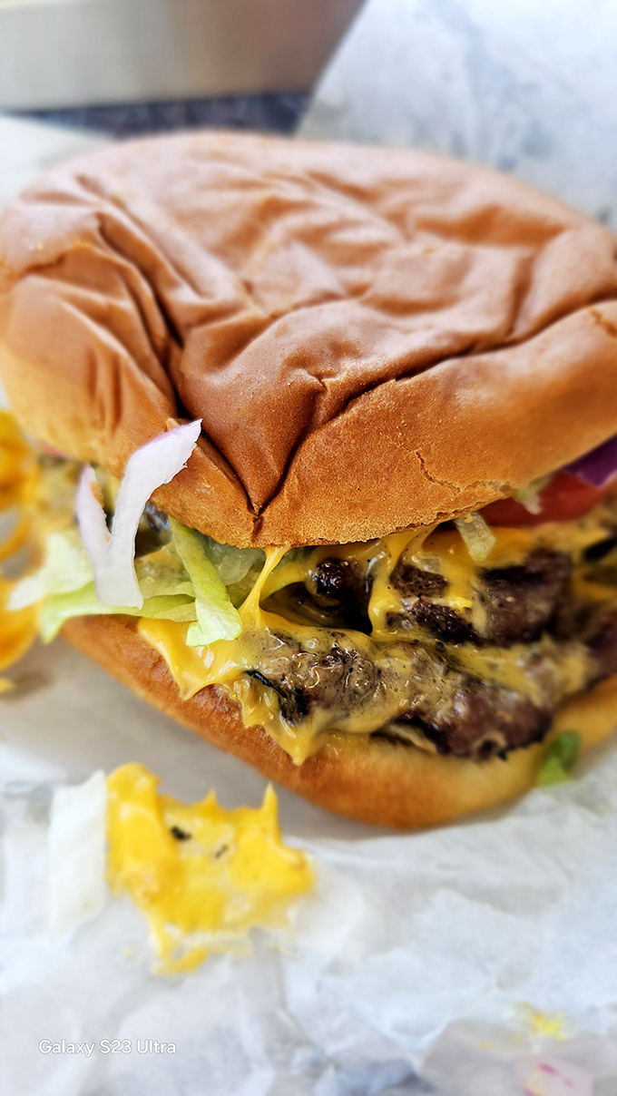This isn't just a cheeseburger; it's a masterclass in American comfort food engineering—the melted cheese cascading down like a yellow waterfall of happiness.
