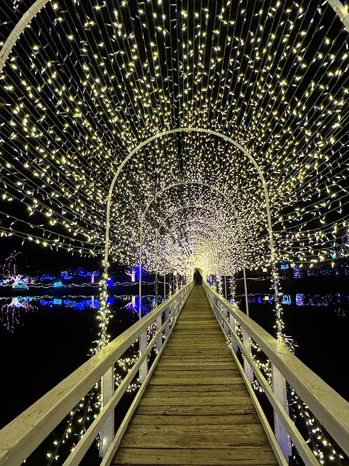 The Festival of Light transforms ordinary walkways into magical passages. Like walking through the galaxy without the space travel costs!