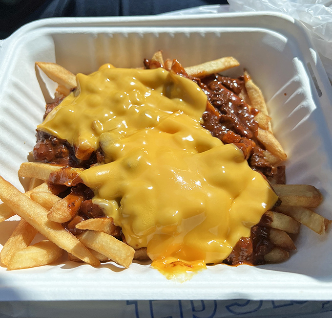 Chili cheese fries that make you reconsider every life decision that didn't involve ordering chili cheese fries immediately.