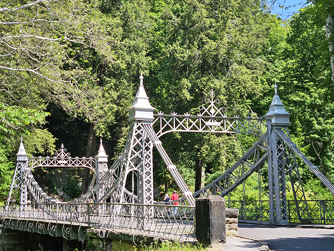 This ornate footbridge in Mill Creek Park looks like it wandered off a European postcard and settled here.