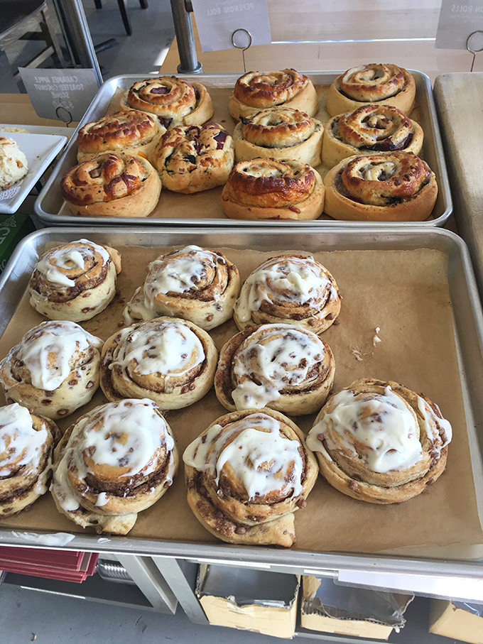 Cinnamon rolls lined up like delicious soldiers ready for battle—against your willpower. The icing-topped ones are clearly the commanding officers.