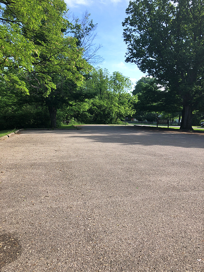 Even the parking areas in Clifton are surrounded by towering trees, a gentle reminder that nature rules the roost here.