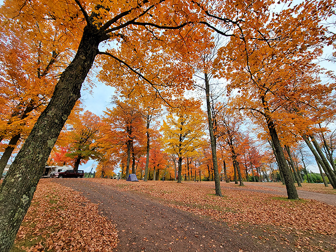 Autumn transforms Curry Park into a painter's palette of oranges and reds, where fallen leaves crunch underfoot like nature's welcome mat.