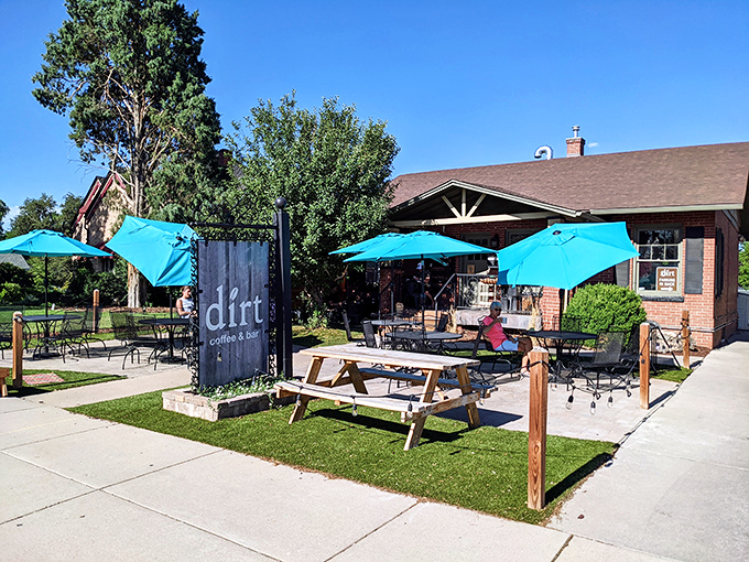 DIRT Coffee Bar's turquoise umbrellas beckon like oases in a caffeine desert, promising shade, community, and brews worth lingering over.