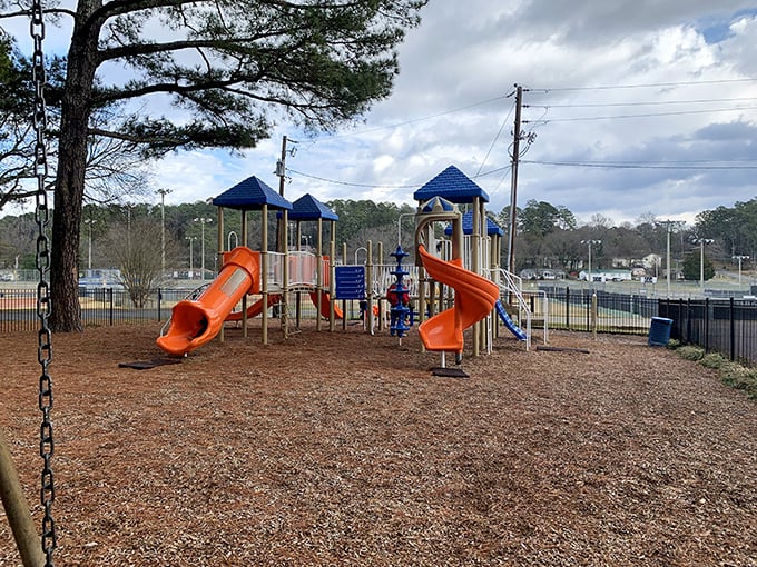 Playground equipment that doesn't require a software update or WiFi connection – refreshingly analog fun for the grandkids.