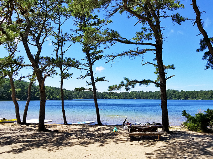 Trees frame this hidden beach like nature's own cabana, offering shade, privacy, and front-row seats to Cape Cod's inland water show.