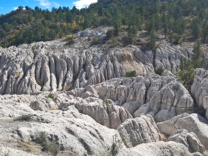 These weathered limestone formations tell Earth's autobiography in chapters of stone. Nature's sculpture garden puts modern art museums to shame.
