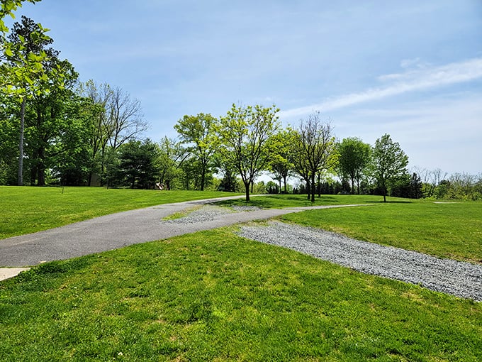 Where pathways converge and possibilities open&mdash;this pastoral scene offers a mental reset button just minutes from academic intensity.