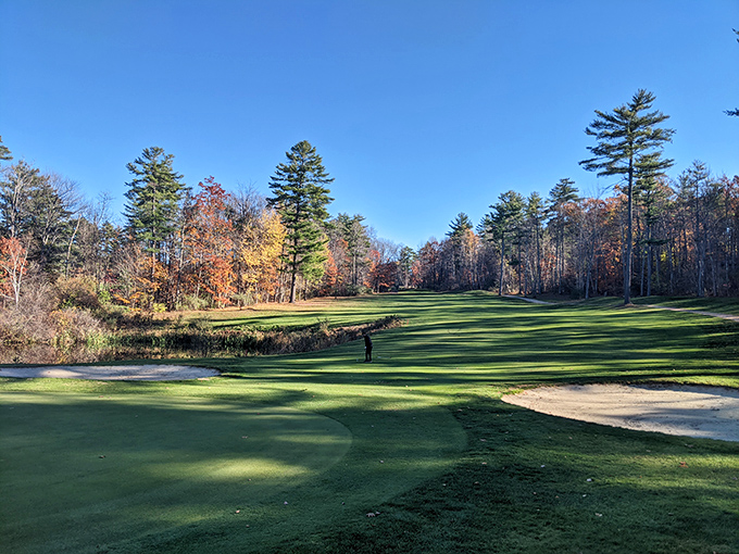 Golf courses are nature's way of saying, "I could be a forest, but I thought you might enjoy hitting small balls into tiny holes."
