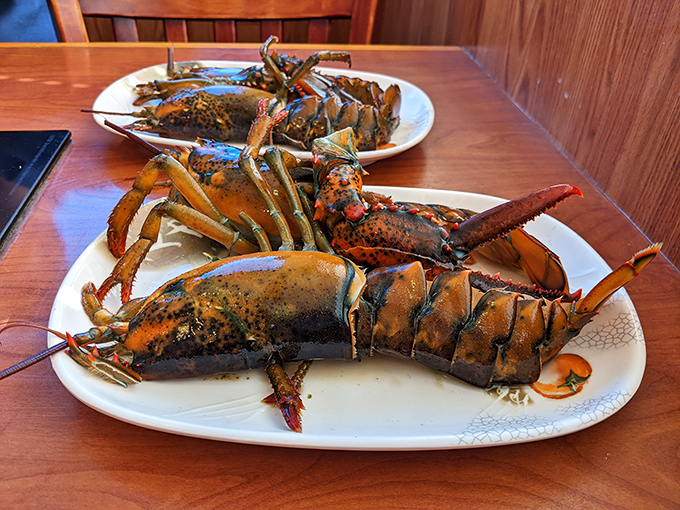 Ocean royalty has arrived! These magnificent lobsters bring a taste of New England's coastline to your Chinatown feast.