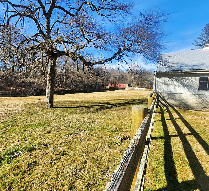 That gnarly old tree stands sentinel, having watched countless travelers cross the red bridge in the distance for generations.