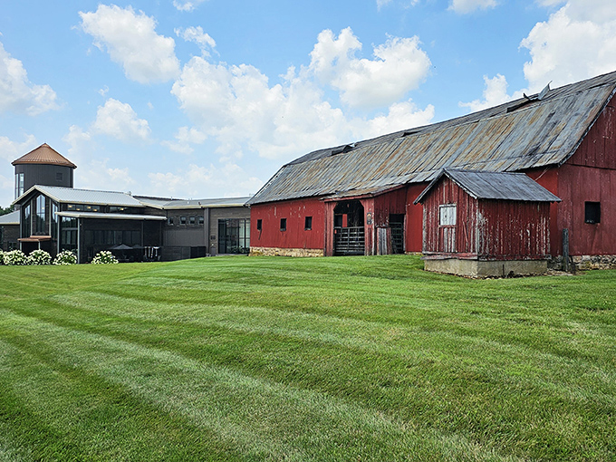 At Lux Row Distillers, even the weathered red barn seems to be aging as gracefully as the bourbon inside.