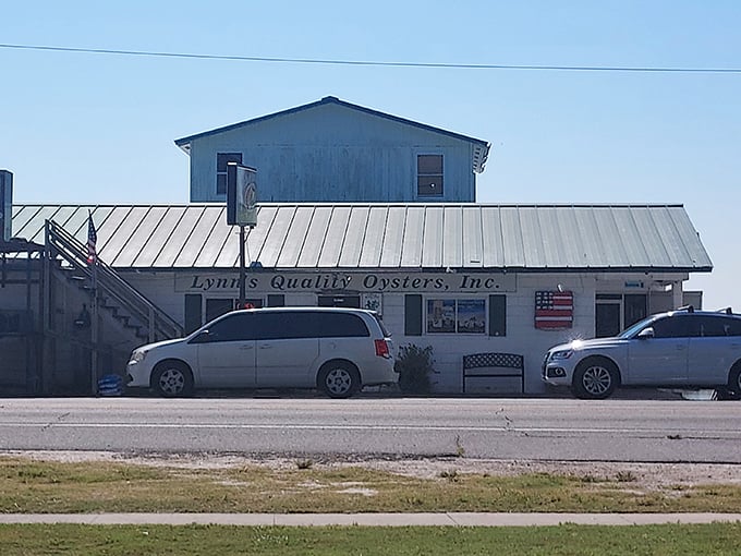 Lynn's Quality Oysters stands as a temple to bivalve worship, where seafood doesn't travel far enough to need a passport.