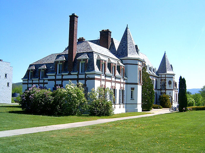 Middlebury College's stately architecture looks like what happens when Hogwarts and an Ivy League campus have an extremely photogenic baby.