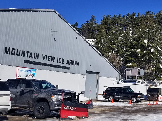 Winter isn't a season to endure but celebrate in Iron Mountain. The Mountain View Ice Arena hosts everything from hockey leagues to public skating sessions for all ages.