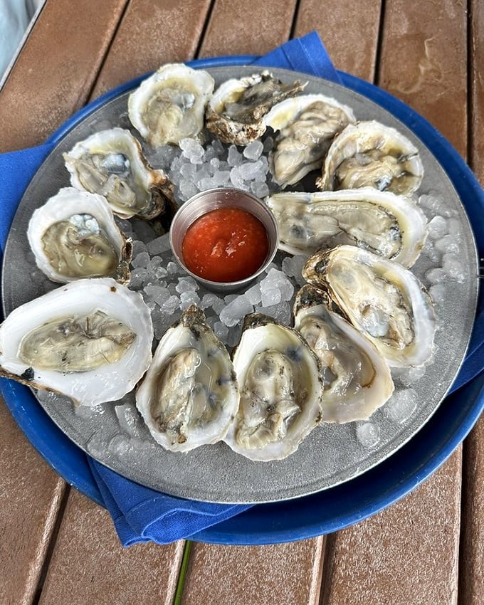 Oysters on ice&mdash;nature's perfect appetizer. These briny beauties are just begging for a squeeze of lemon and a cold drink companion.