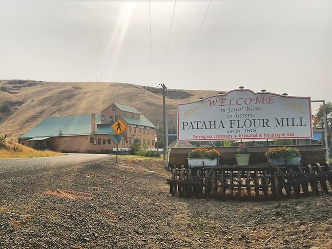 The historic Pataha Flour Mill stands as a testament to agricultural heritage. Where wheat once became flour, history now becomes understanding.