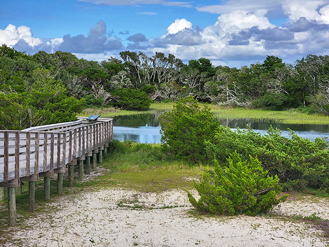 At Rachel Carson Reserve, wooden boardwalks lead to moments of pure tranquility&mdash;where marshland meets maritime forest in a dance as old as time itself.