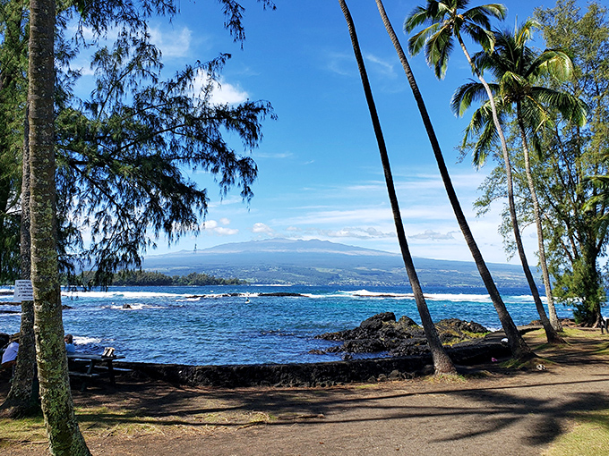 Palm trees lean toward the ocean as if they too can't resist the pull of Hilo's crystal waters &ndash; nature's version of "wish you were here."