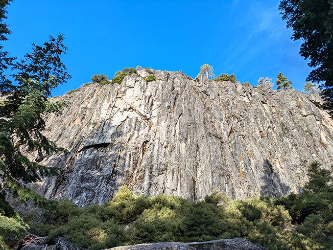 These granite walls tower overhead like nature's own cathedral, reminding you that geology is basically Earth showing off.