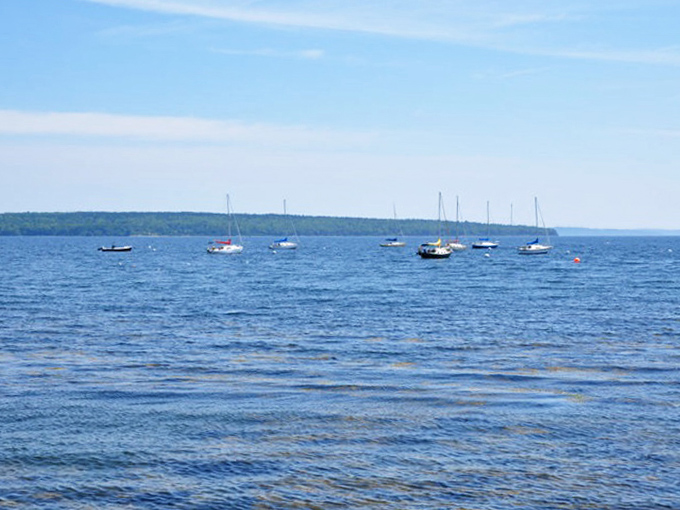 Sailboats dot the bay like elegant punctuation marks in a love letter written by the sea to the sky.