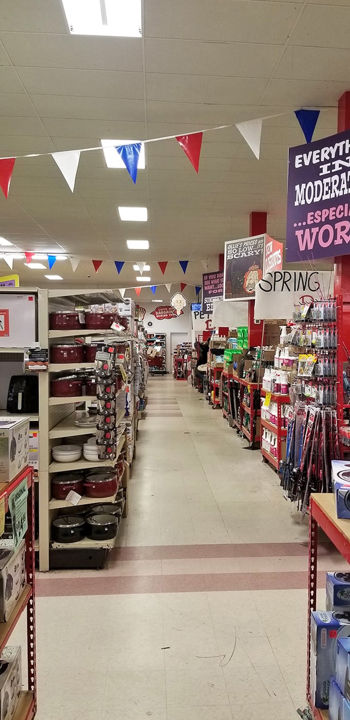 Red shelves stretch toward bargain infinity. The colorful pennant flags overhead create a perpetual celebration of savings in this kitchenware wonderland.
