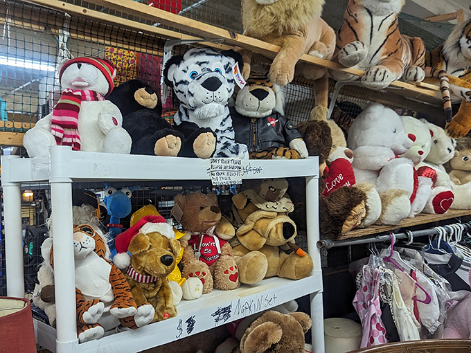 Stuffed animal diplomacy at its finest &ndash; tigers peacefully coexisting with bears, all waiting for someone to take them home for less than a movie ticket.