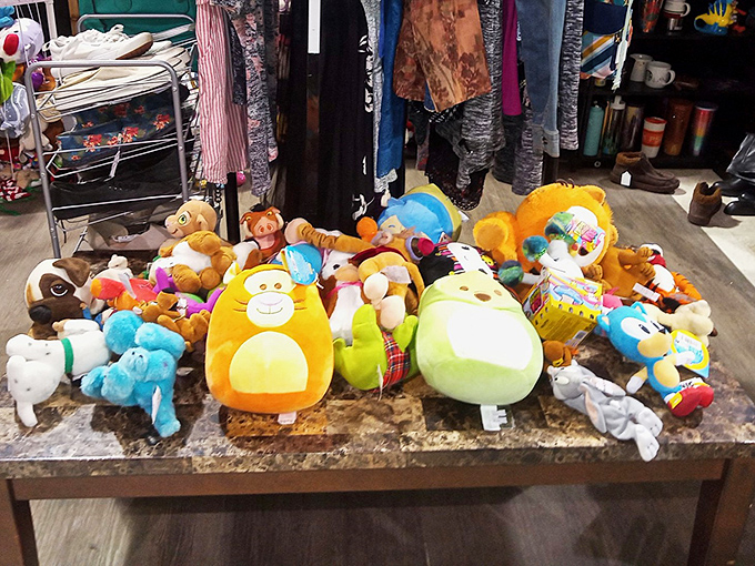 Stuffed animal adoption center where forgotten plushies hope for a forever home. That yellow fellow in front looks like he's seen some things in his stuffed life.