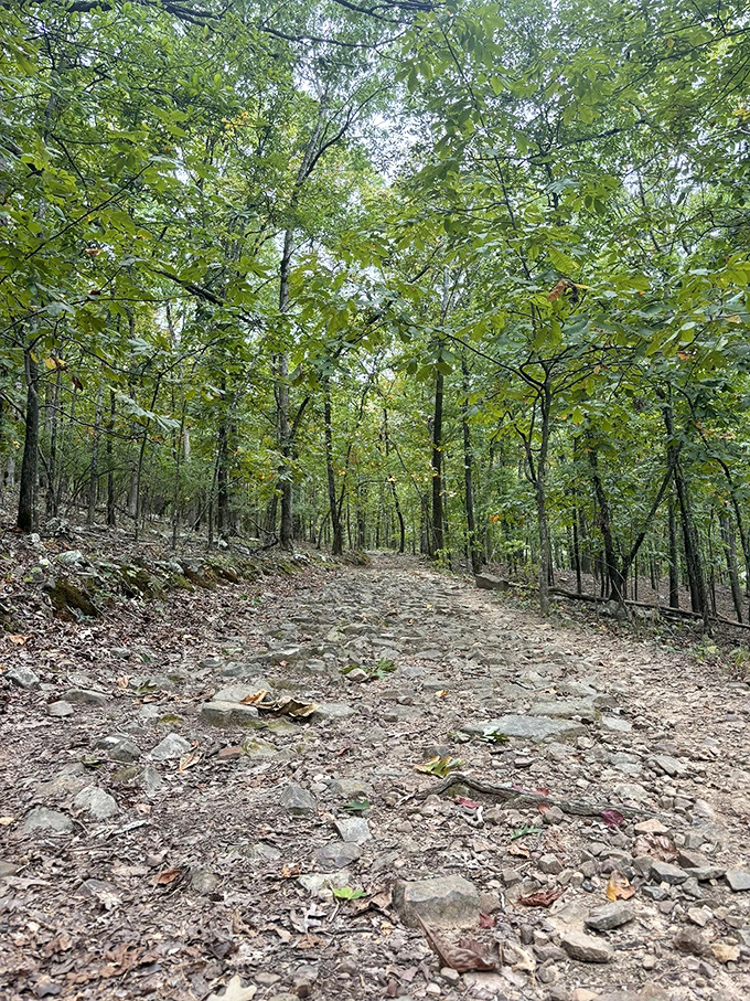 The path less photographed but equally magnificent. Emerald Park's rugged trails offer both challenge and serenity to those who venture forth.