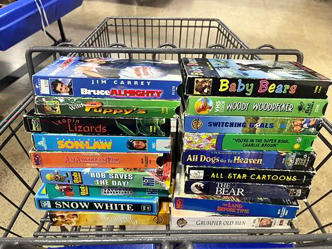 VHS gold mine! From Jim Carrey classics to "All Dogs Go to Heaven," these plastic time capsules preserve entertainment history for mere pocket change.