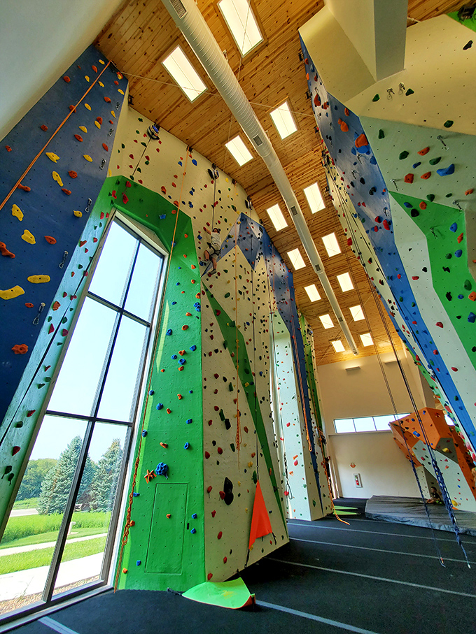Venture Climb's towering walls offer vertical challenges for everyone from "I climb mountains" enthusiasts to "I occasionally take stairs" realists.