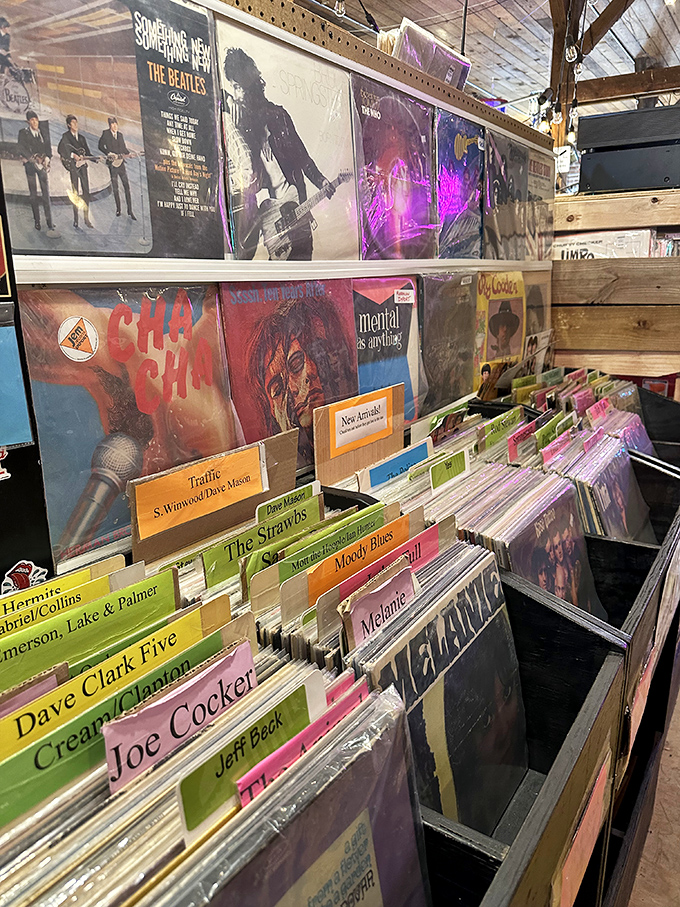 Vinyl paradise for analog souls. The Beatles, Traffic, and Joe Cocker waiting patiently to soundtrack your life once again.