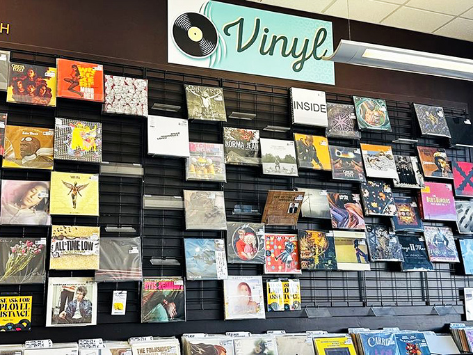 Vinyl records create a colorful mosaic of musical history. Each album cover tells its own story before you even hear the first note.