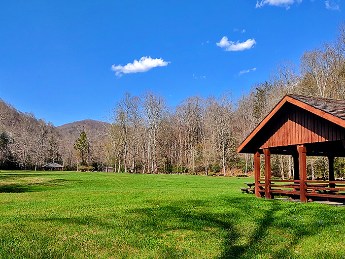Picnic shelters like this one dot Richwood's landscape, offering million-dollar mountain views that, ironically, come completely free of charge.