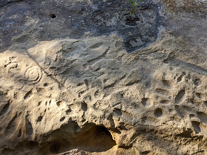 These aren't your average doodles. Ancient hands carved these mysterious symbols into stone, creating Missouri's most fascinating prehistoric art gallery under the open sky.