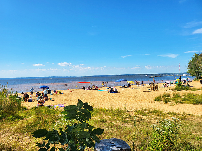 Beach day bliss without ocean-sized crowds. Elk Neck's shoreline offers all the sandy joy without the "excuse me, that was my spot" drama.