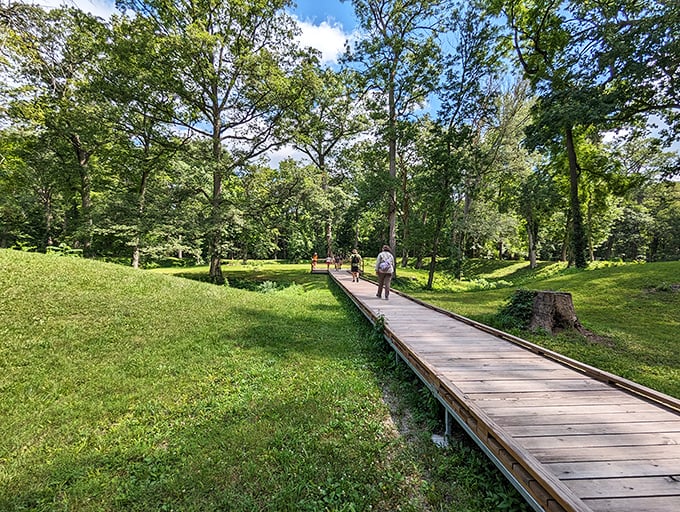 Walking through history on weathered planks. This boardwalk protects the ancient mounds while giving visitors front-row seats to a 2,000-year-old mystery.