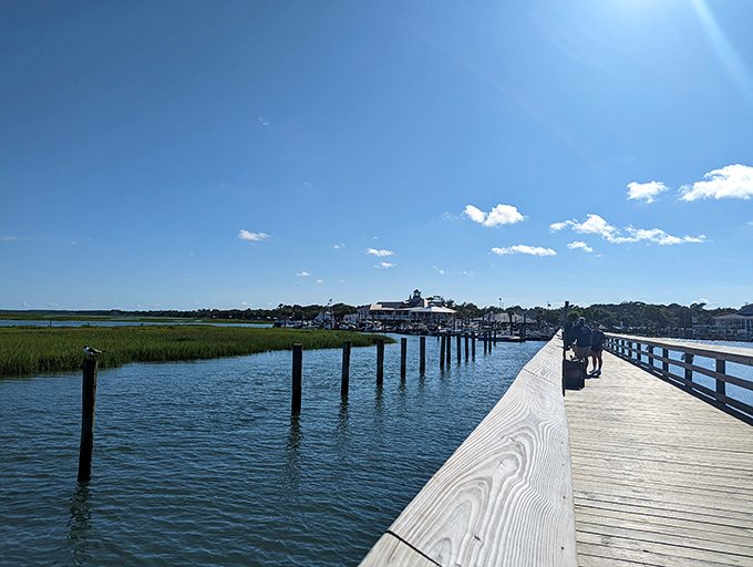 The boardwalk extends into the distance under brilliant blue skies, beckoning explorers to discover what's around the bend.