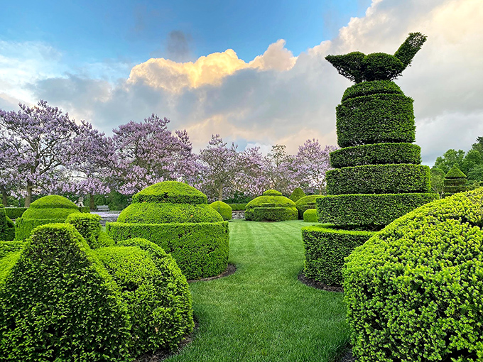 Topiary that makes your carefully trimmed hedge look like a bad haircut. These living sculptures prove that sometimes, plants wear geometry better than we do.