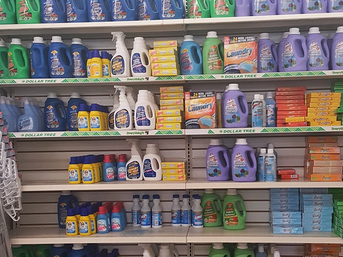 Cleaning product paradise where you can stock an entire under-sink arsenal for less than one bottle costs at fancy stores.