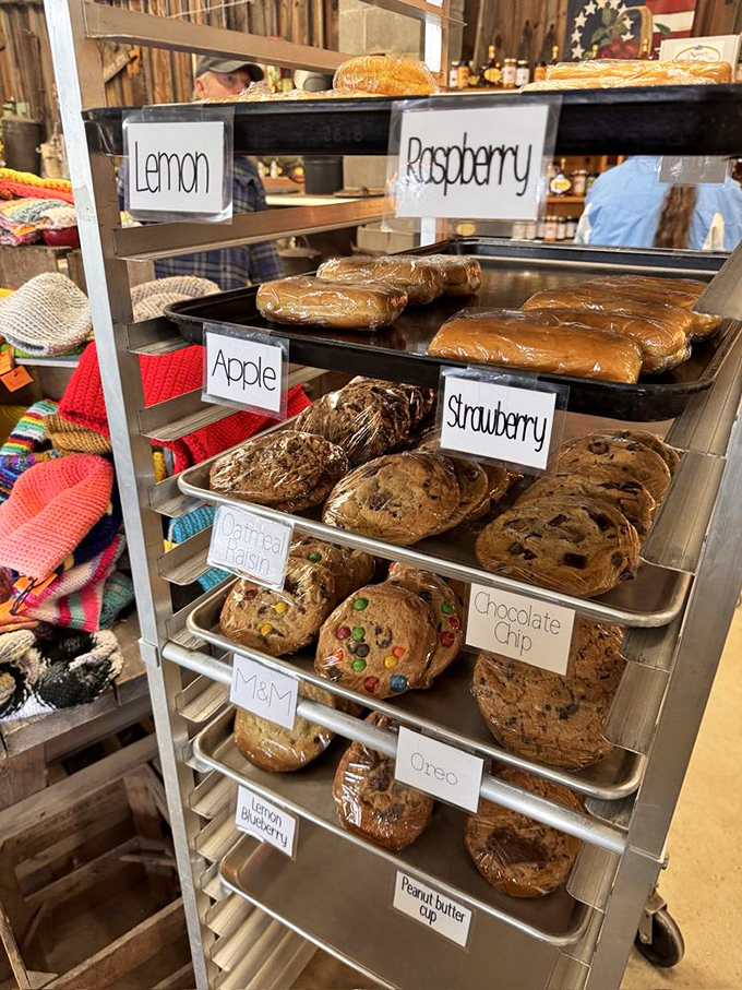 Cookie heaven exists, and it's stacked on these trays. From classic chocolate chip to M&M-studded treasures, each one practically begs to join your apple haul.