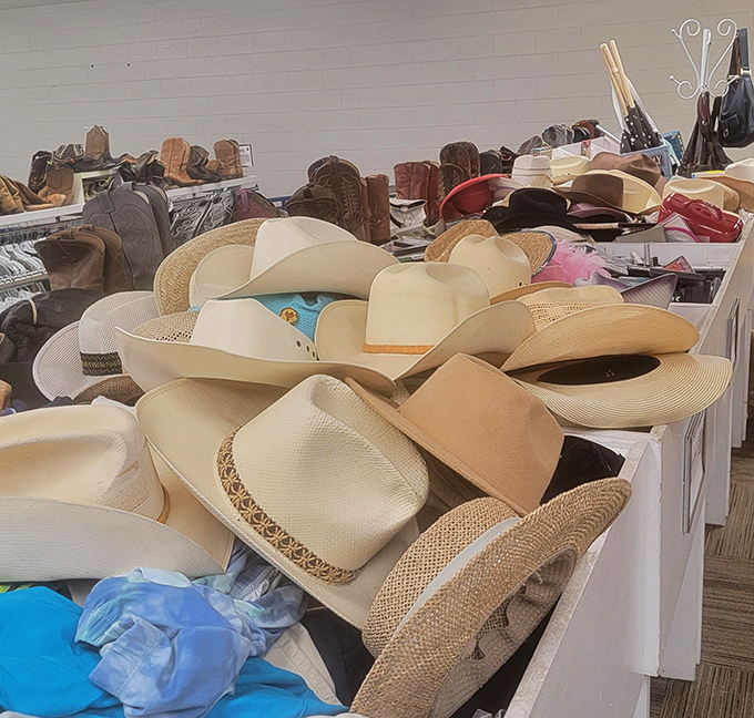 The cowboy hat collection rivals any Western museum. In Wyoming, even the thrift stores understand that proper headwear is serious business.