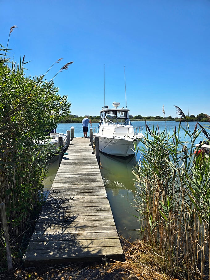 Ninigret's hidden marina. Where boats rest between adventures and humans contemplate their next seafood meal.