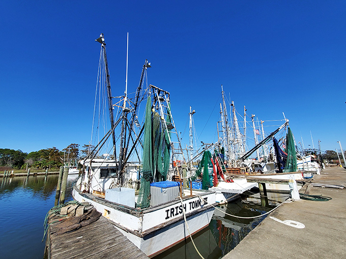 Working fishing boats line the harbor, a reminder that Apalachicola's seafood isn't just locally sourced &ndash; it's caught by the folks you'll meet at the bar later.