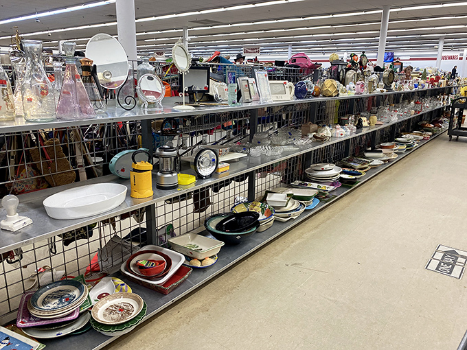 Domestic archaeology at its finest! These shelves of kitchenware hold everything from everyday plates to that Pyrex pattern your grandmother once owned.