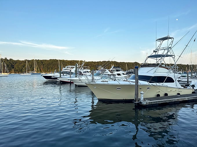 These boats aren't just parked &ndash; they're patiently waiting for their next adventure, like golden retrievers eyeing the front door.