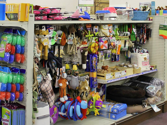 A menagerie of stuffed companions and pet supplies awaits adoption. That tennis ball might have bounced through someone else's yard, but it's still got plenty of fetch left.