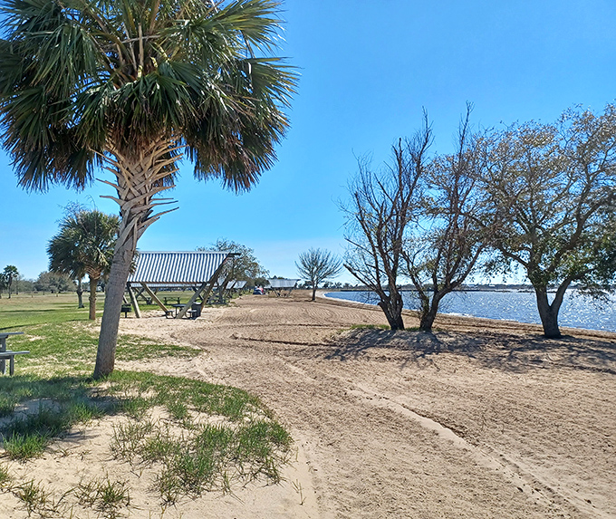Palm trees and picnic shelters – nature's version of the perfect outdoor living room, where the coffee table stretches all the way to the horizon.